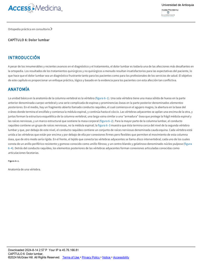 CAPÍTULO 6_ Dolor lumbar | PDF