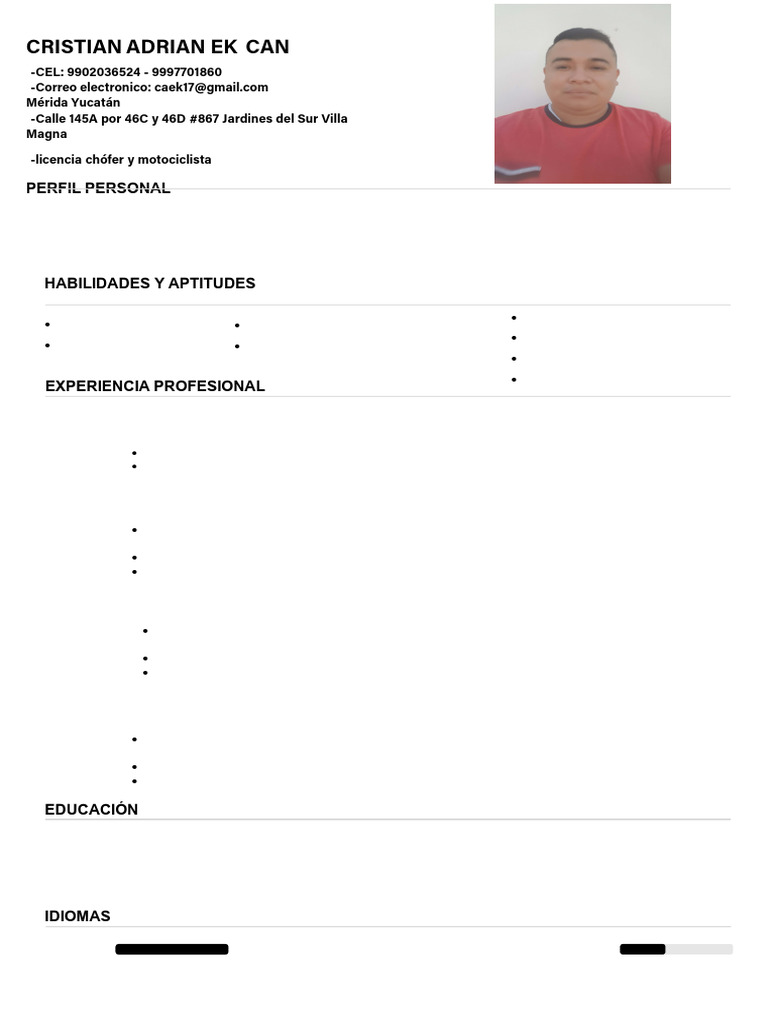 Curriculum Cris-1 | PDF