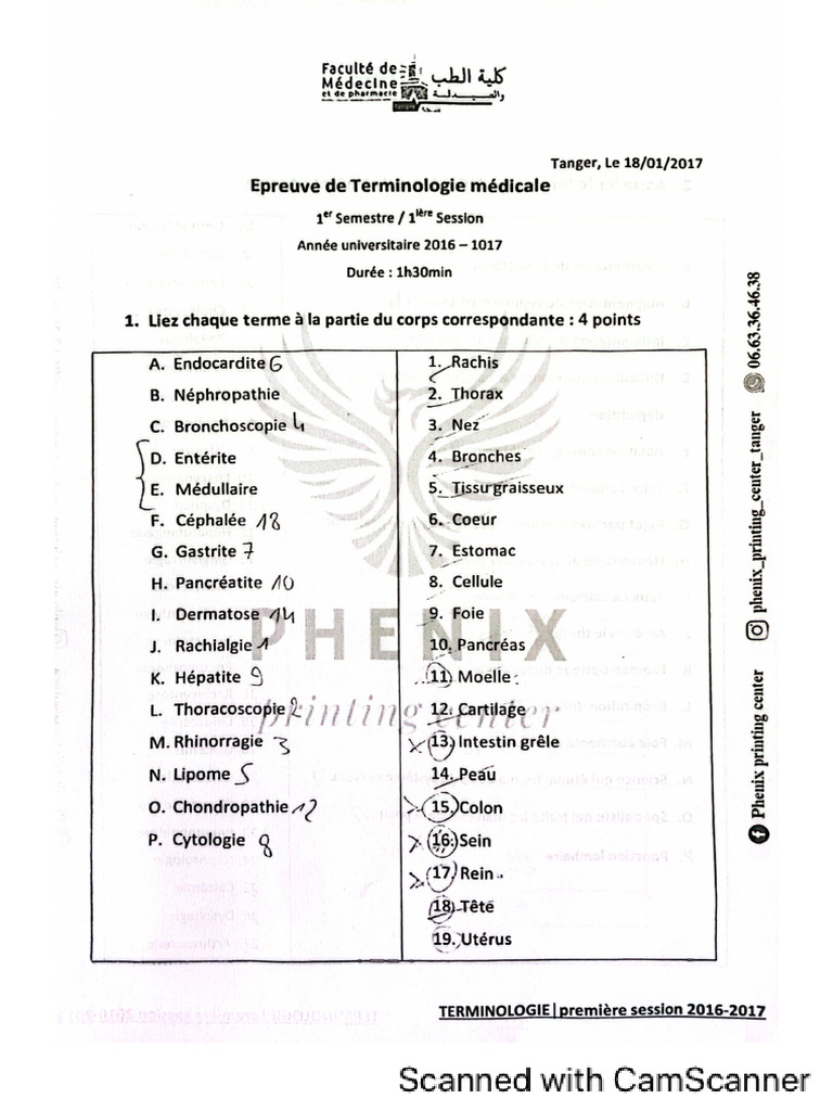 Annale Termino | PDF