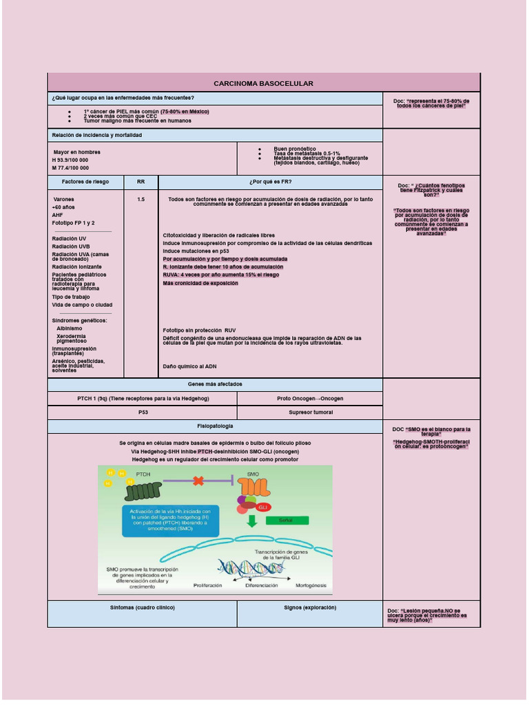 Onco Primer Parcial Resumen | PDF