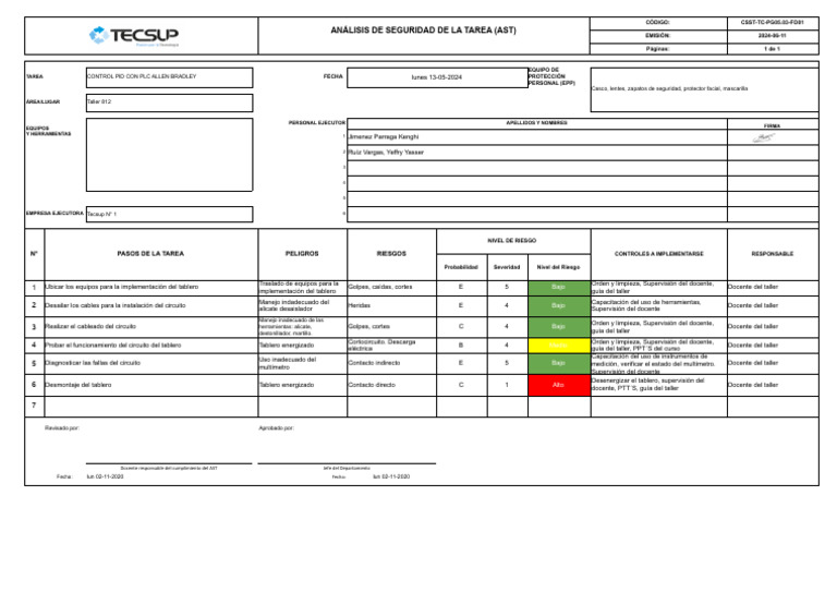 AST - Formato ejemplo - AST (7) | PDF