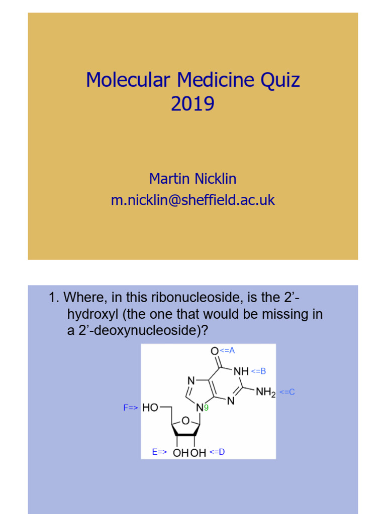 Quiz Questions | PDF