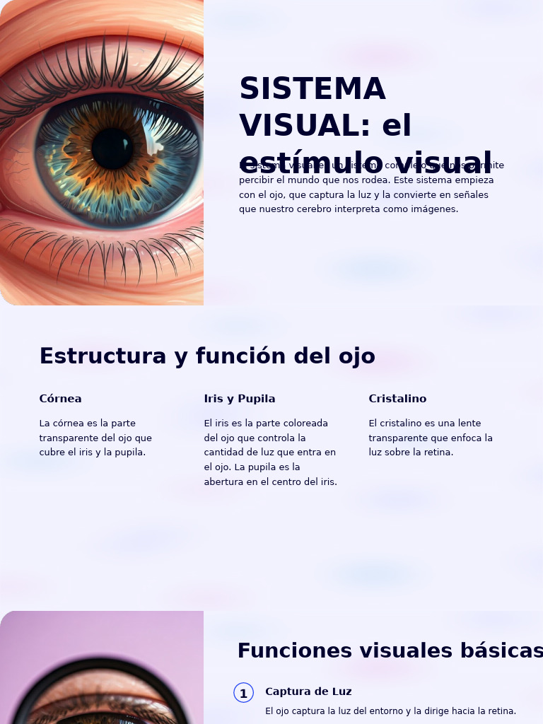 Tema 3 SISTEMA VISUAL El Estimulo Visual | PDF