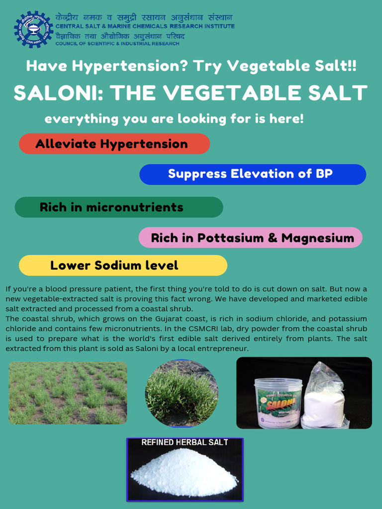 Saloni The Vegetable Salt | PDF | Cooking, Food & Wine | Wellness