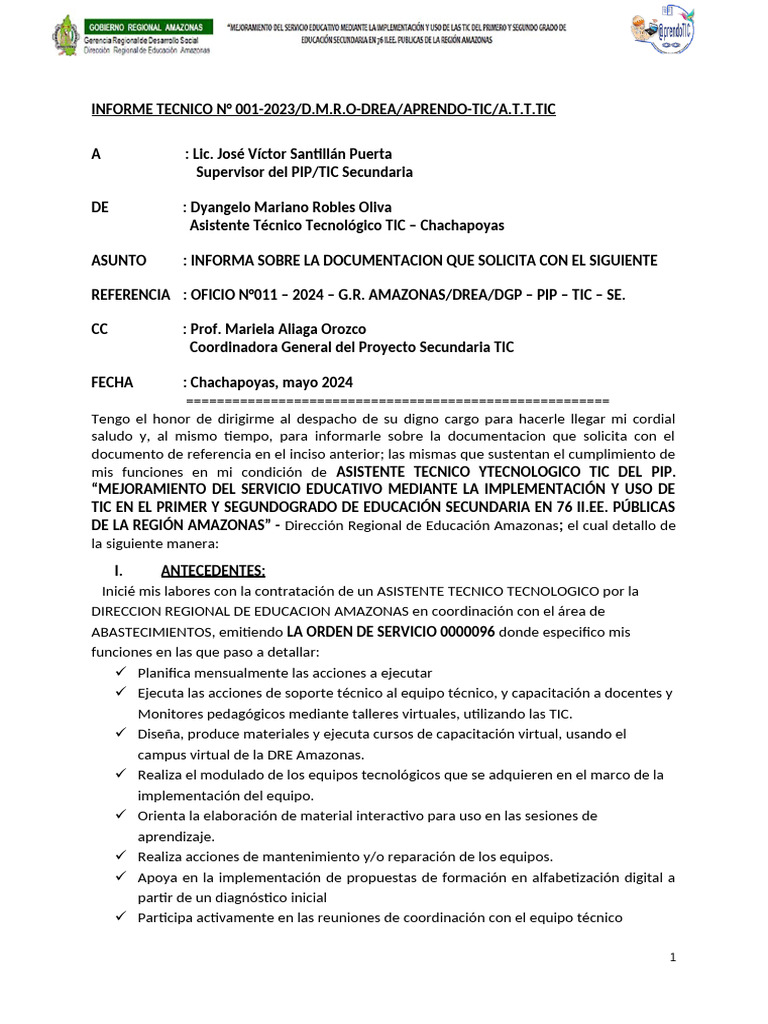 Informe Técnico | PDF