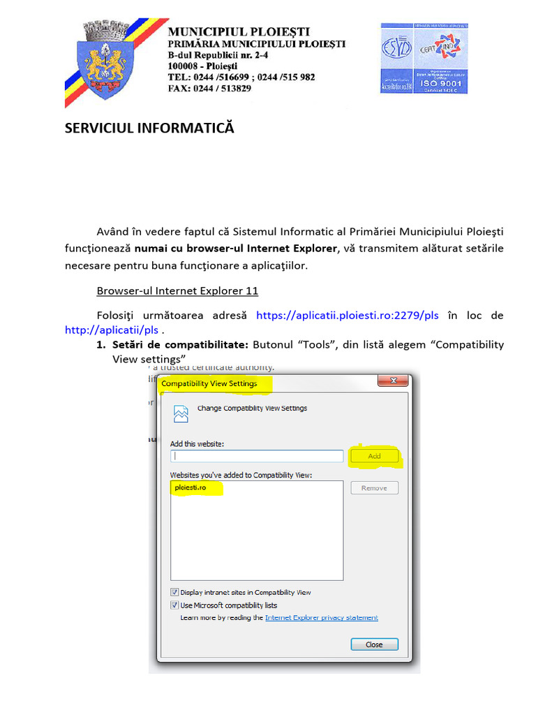 Setari Internet Explorer Aplicatii | PDF