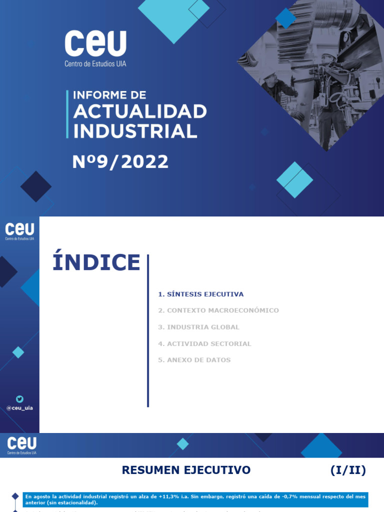 CEU Informe Industrial N9 2022 | PDF