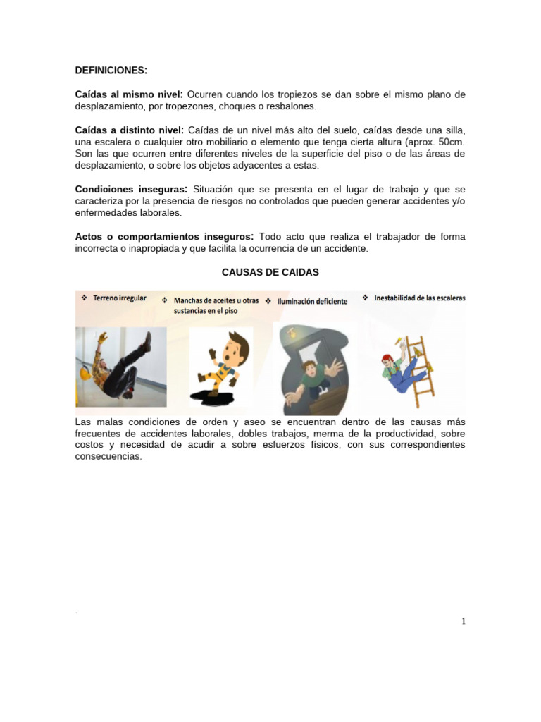 Estandar Prevencion Caidas A Nivel Y A Distinto Nivel Pdf