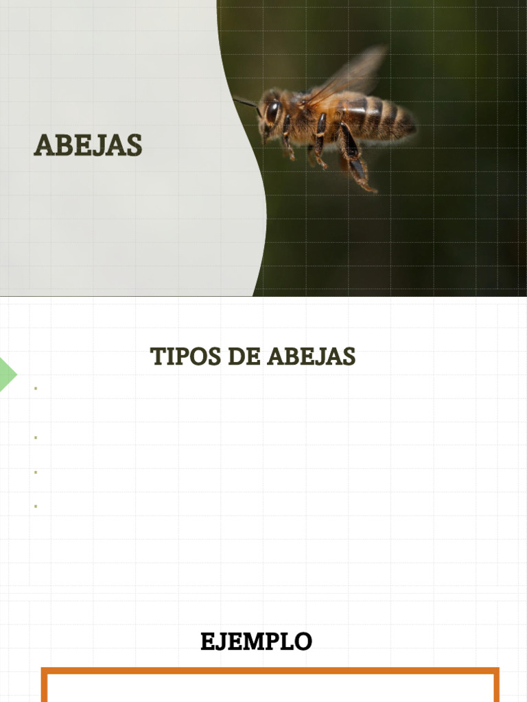 ABEJAS | PDF