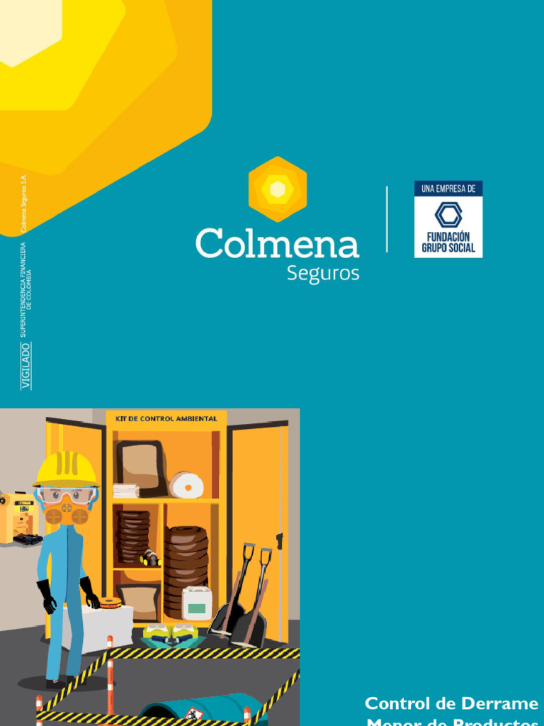 Cap. Control de Derrames | PDF