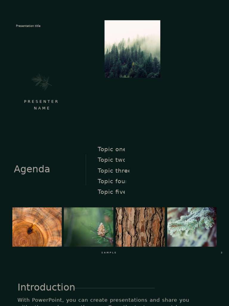 Pine Design | PDF