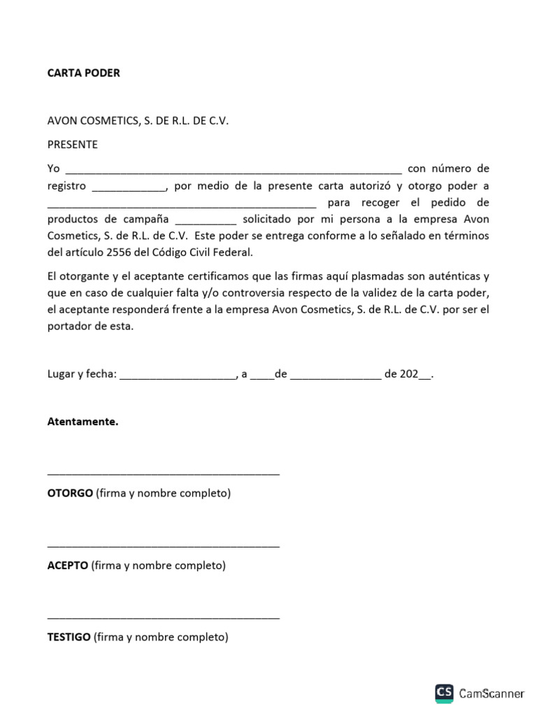 Formato Carta Poder Simple-1 | PDF