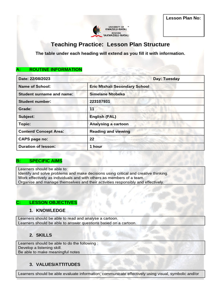 English Cartoon Lesson Plan | PDF