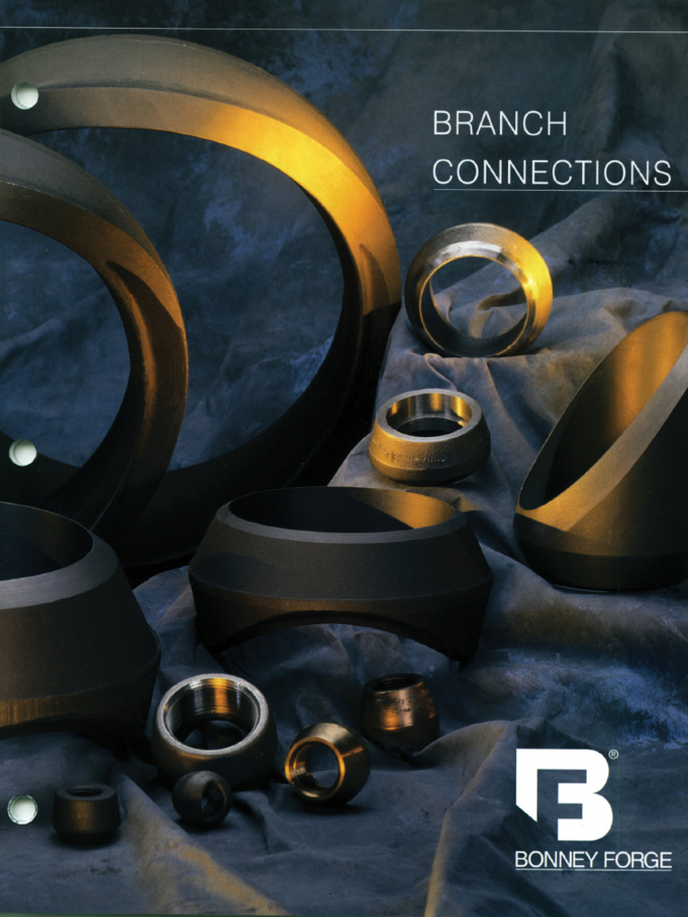 Branch Connections | PDF