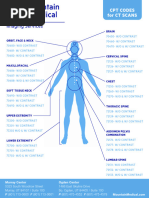 X-Ray CPT | PDF | Pelvis | Foot