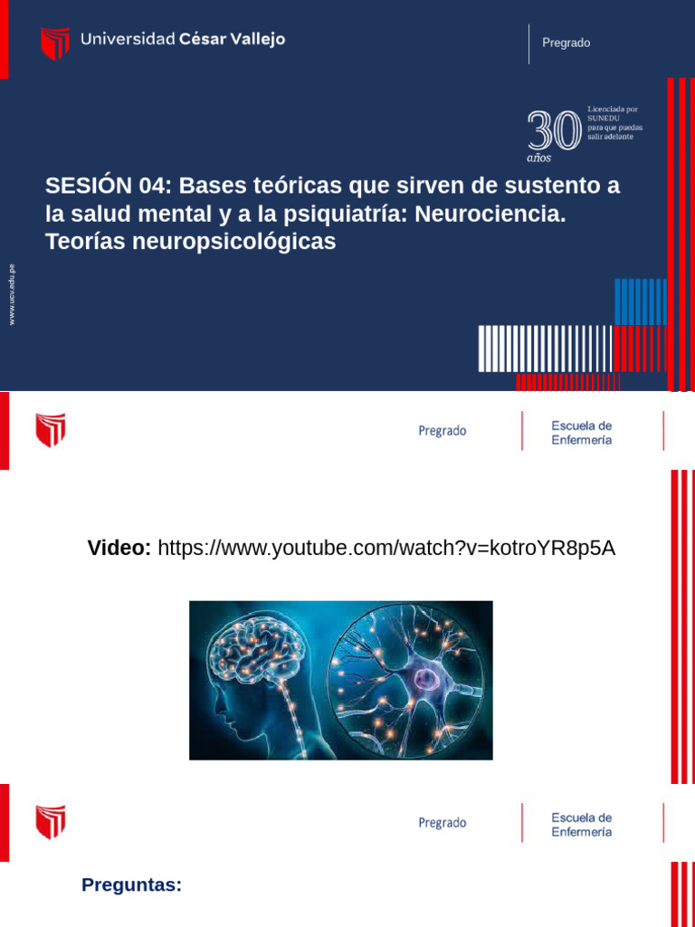 Material Informativo PPT Sesión 4 | PDF