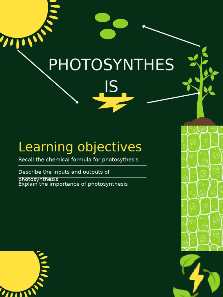 Photosynthesis | PDF | Photosynthesis | Biochemistry