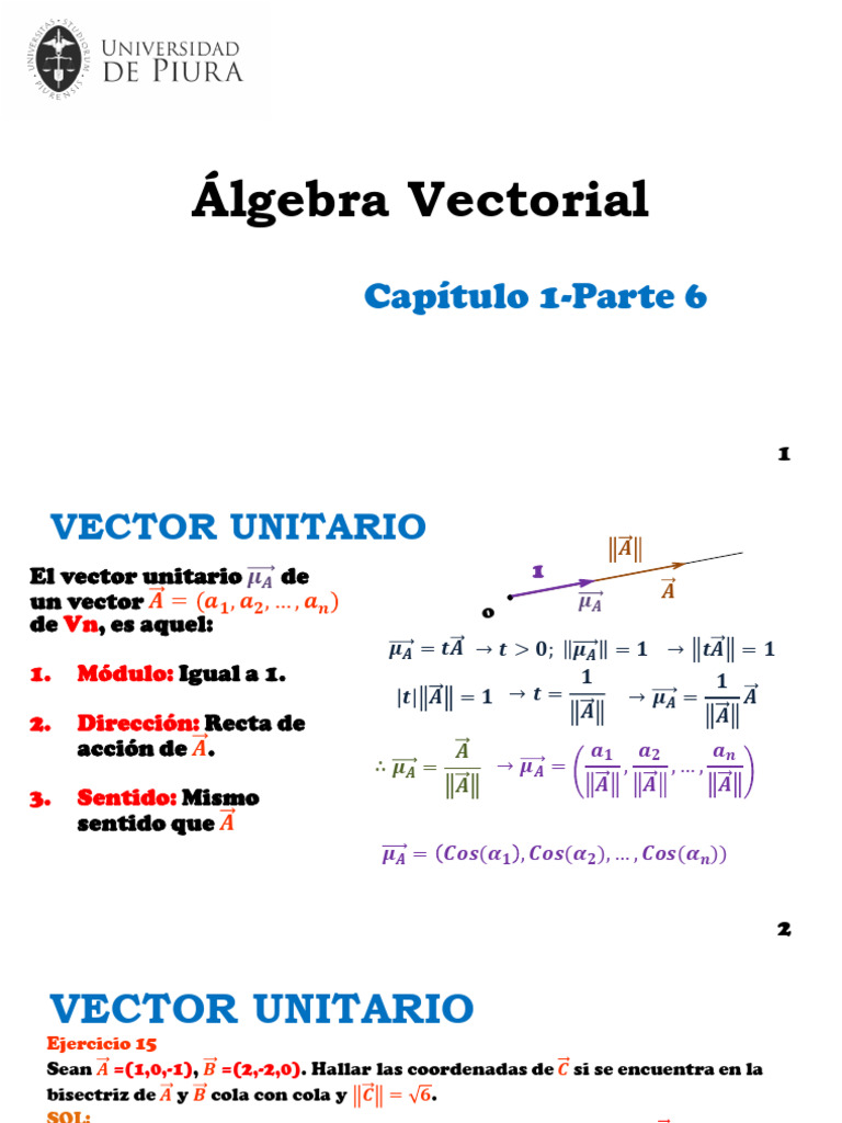 álgebra Vectorial Pdf