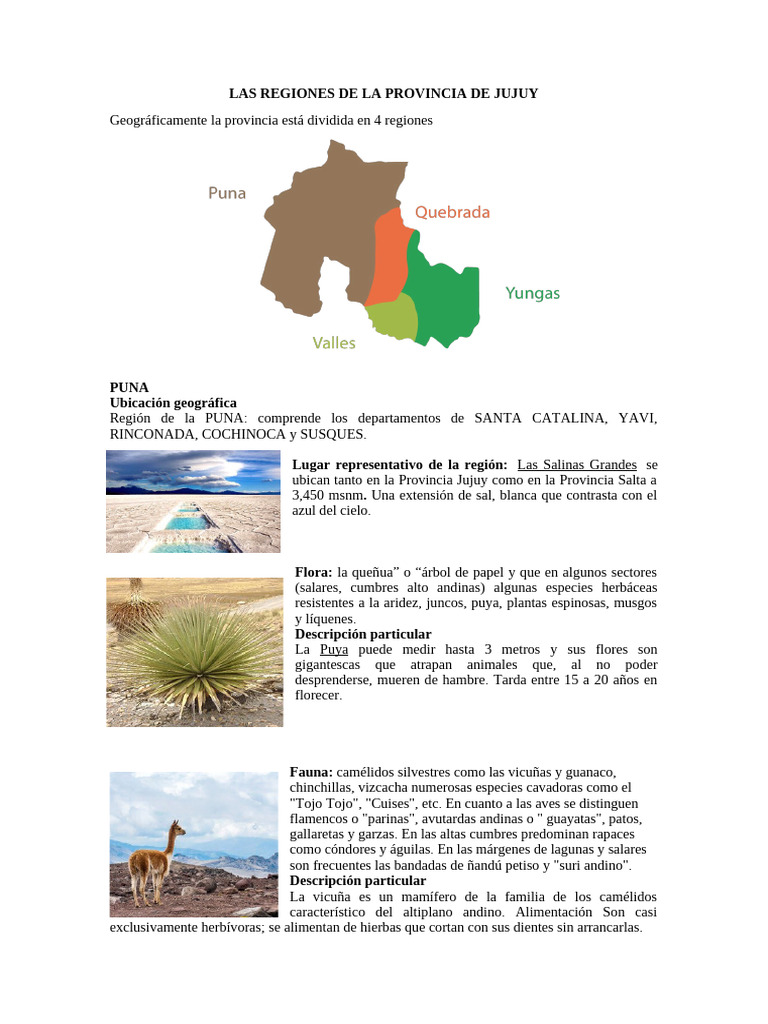 Regiones Geográficas de Jujuy | PDF | Arboles