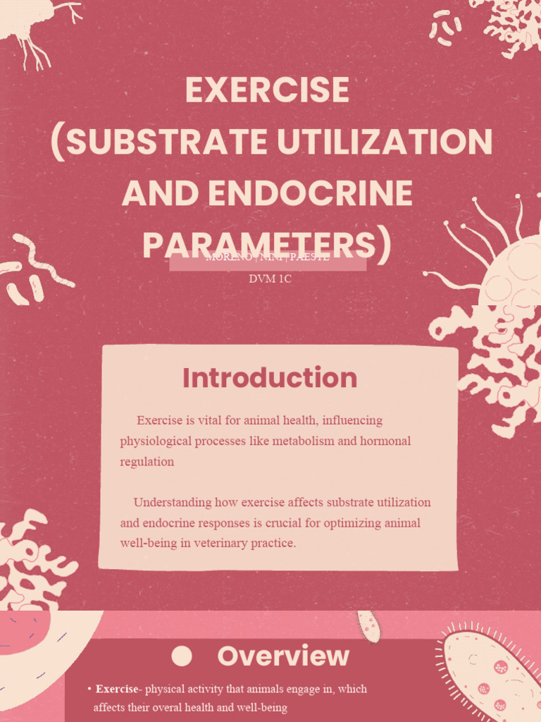 Exercise (SubstrateUtilizationAndEndocrineParameters) Lab C | PDF