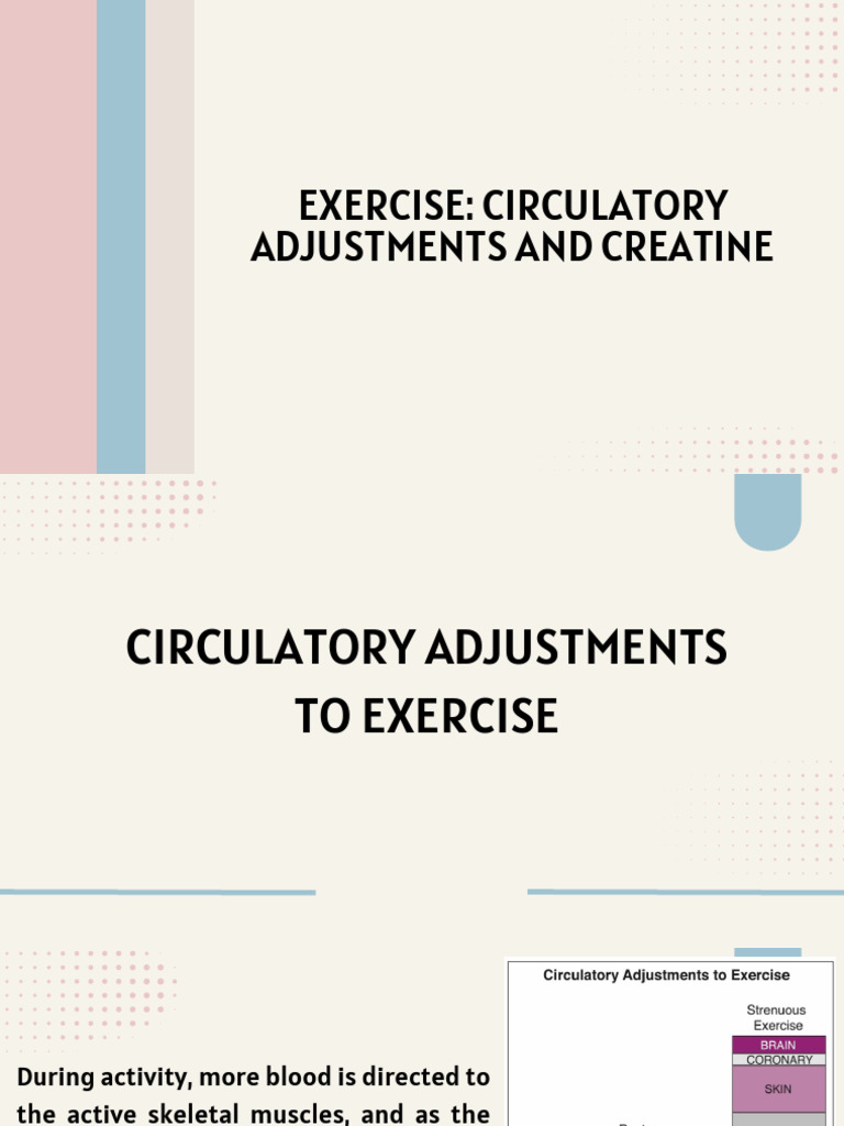 Exercise Circulatory Adjustments and Creatine | PDF