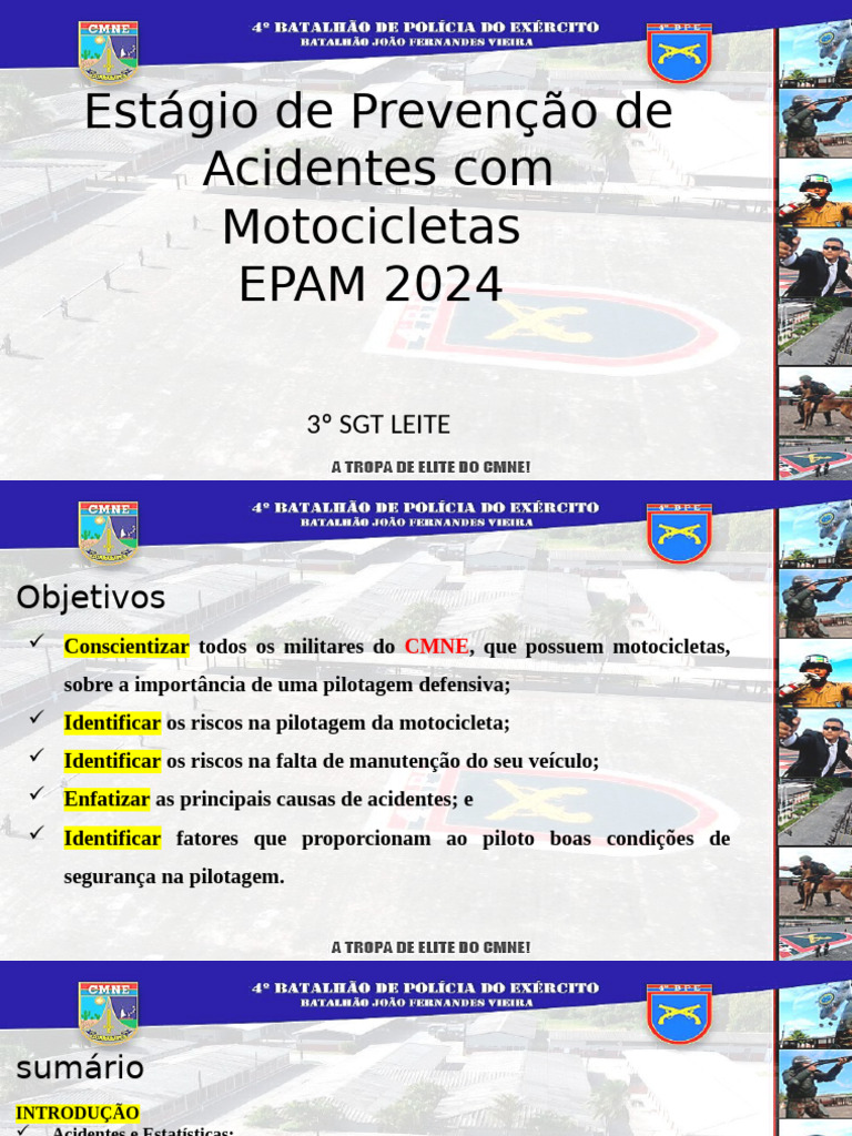 Epam - SGT Leite | PDF