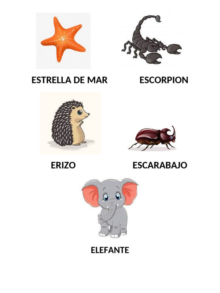 Animales Con E | PDF