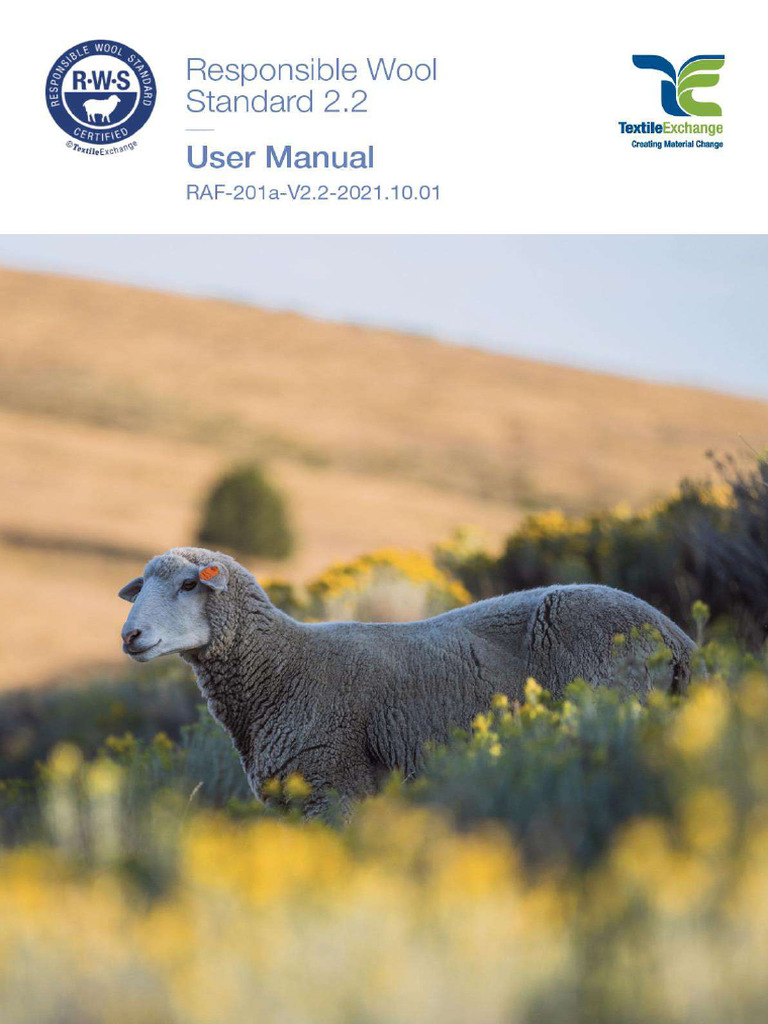 RAF 201a V2.2 RWS User Manual | PDF