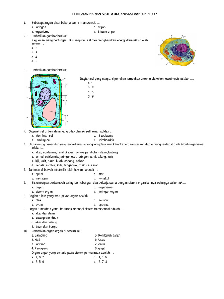 PH Organisasi MH | PDF
