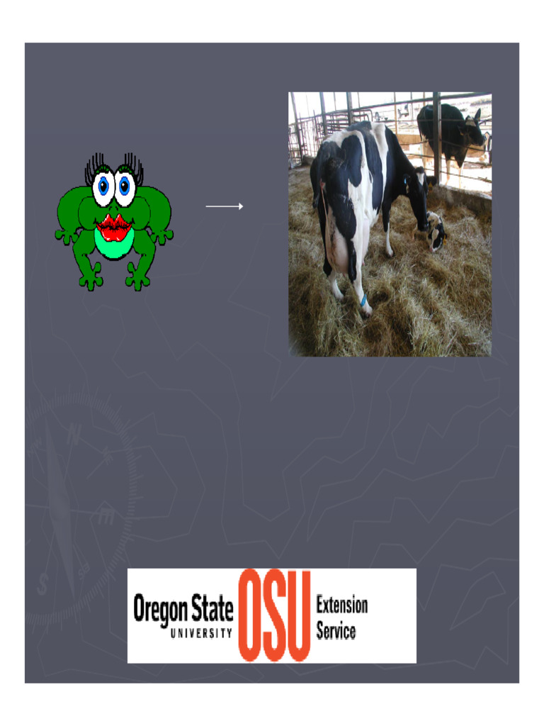 Understanding the Calving Process | PDF | Childbirth | Wellness
