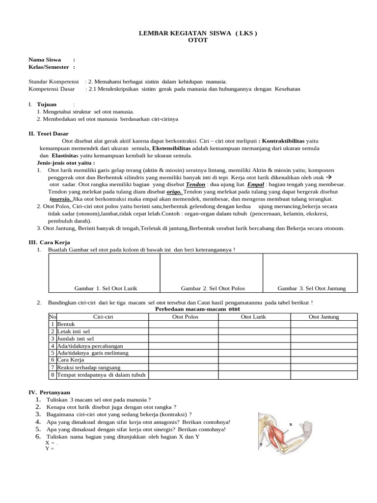 LKS 5 Otot Manusia | PDF