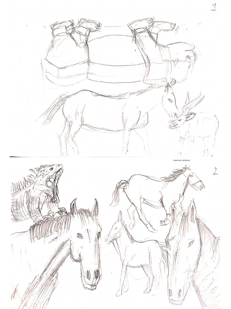 Animal Drawing Sketchbook | PDF