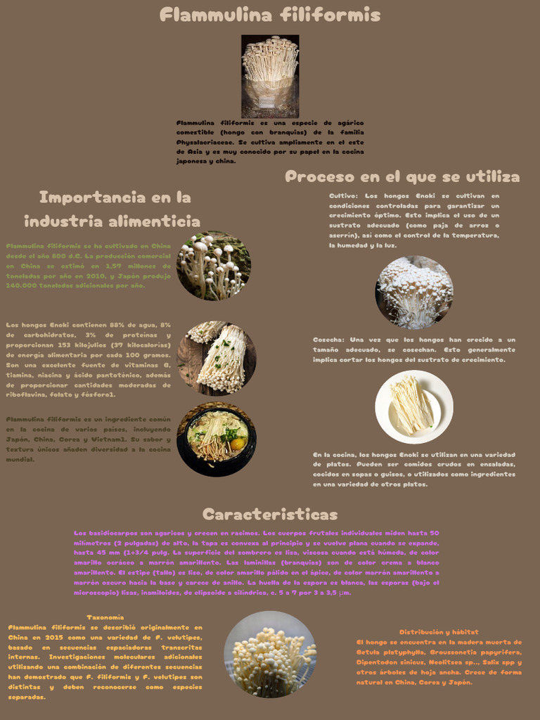 Flammulina Filiformis | PDF