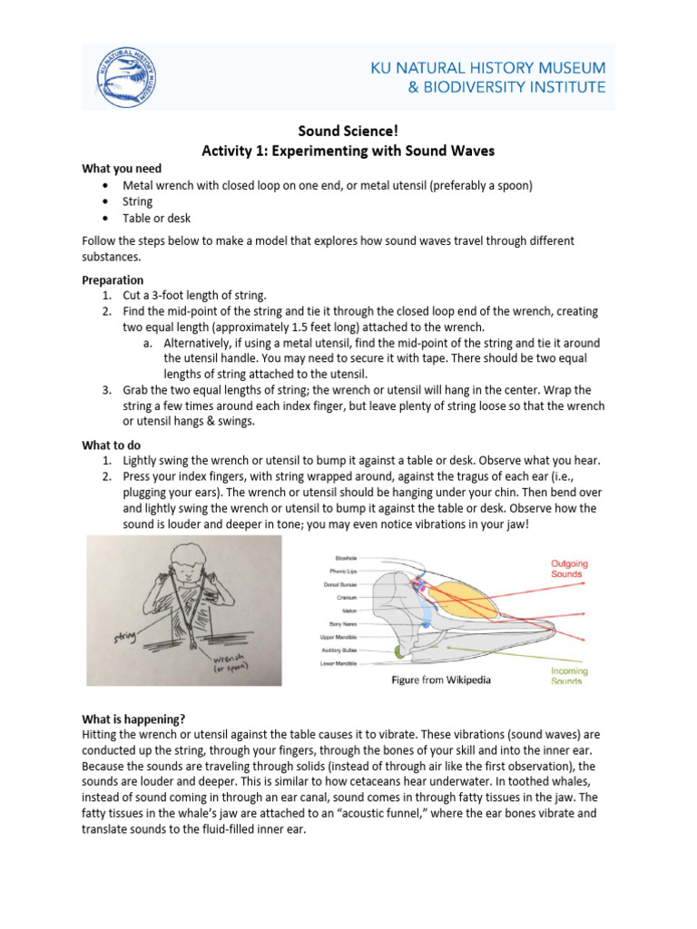 Sound Science Activities | PDF