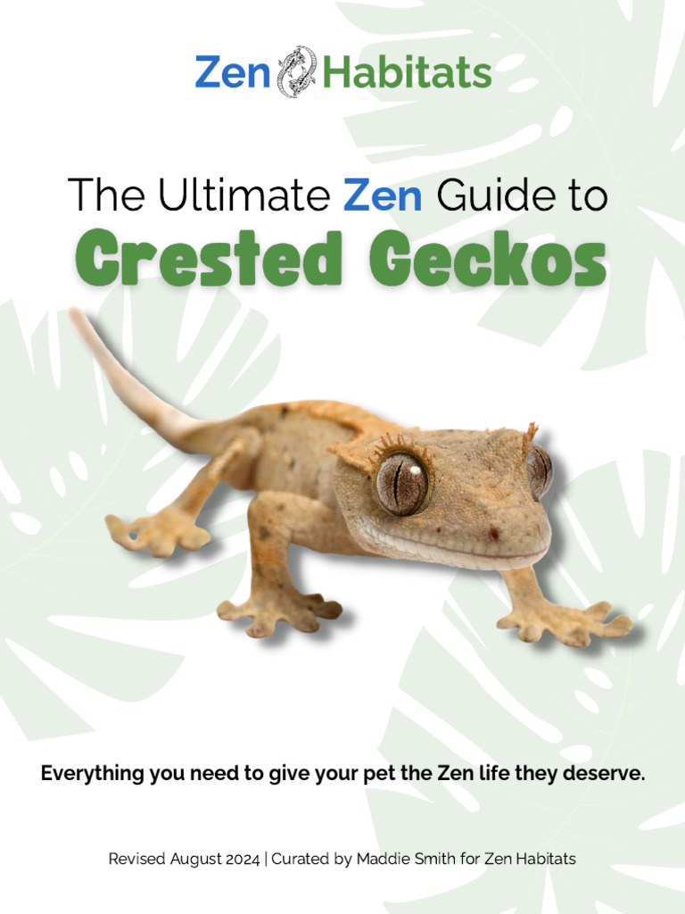 Crested Gecko Ultimate Zen Guide - REVISED AUGUST 2024 FINAL | PDF