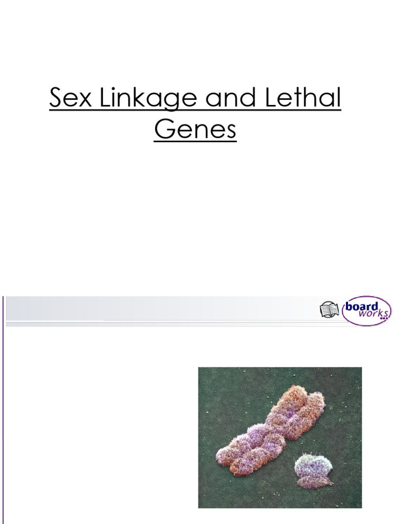 Sex Linkage 1 Pdf