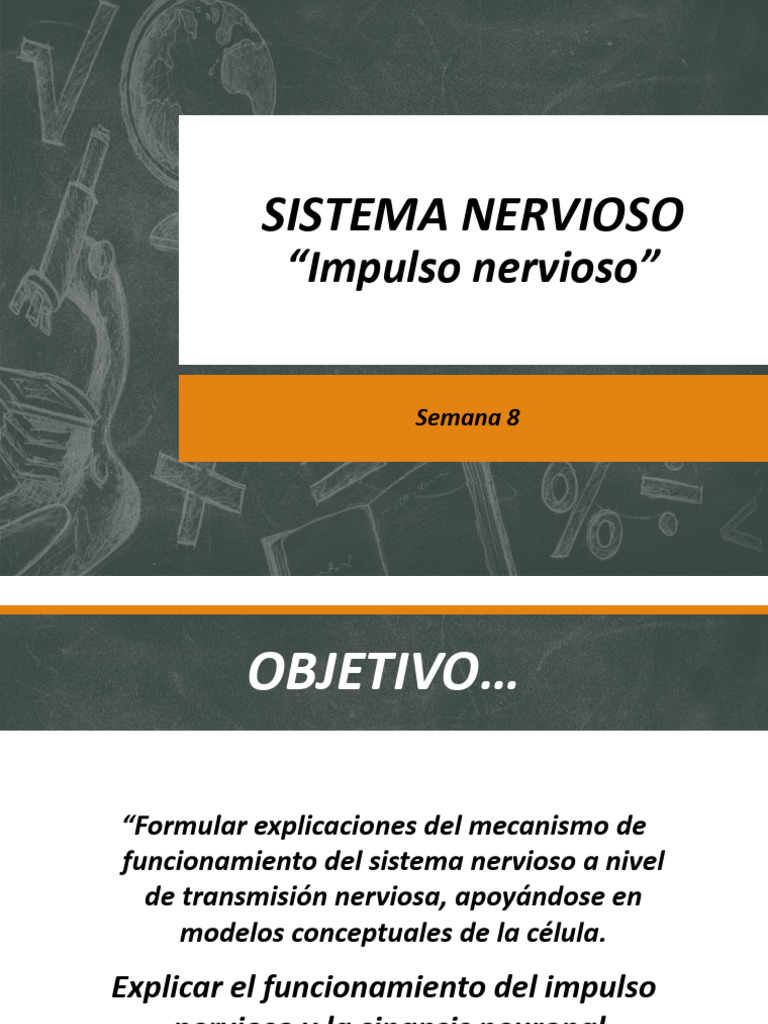 Bio3muni2n06vlc Impulso Nervioso | PDF