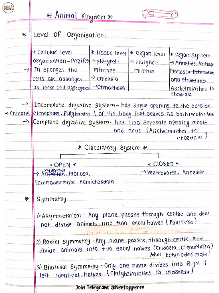 Animal Kingdom Notes | PDF