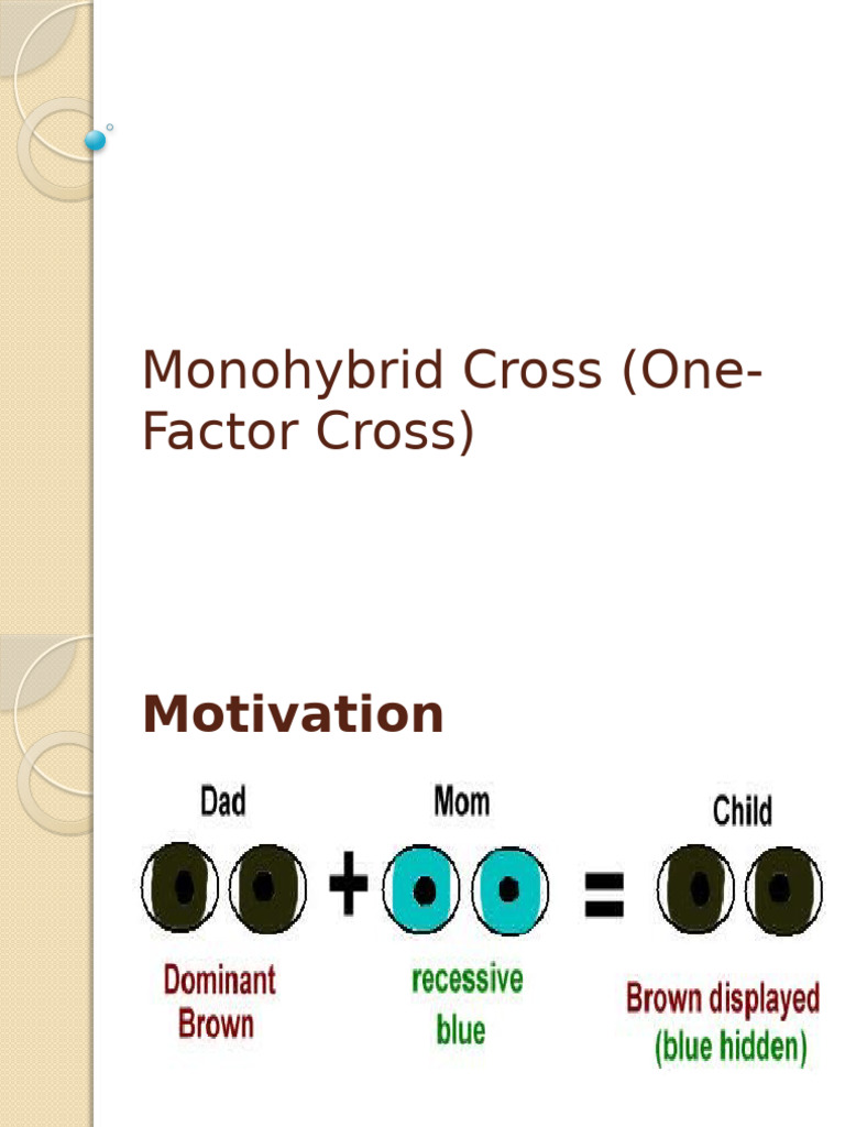 Monohybrid Cross (One-Factor Cross) | PDF | Genotype | Zygosity