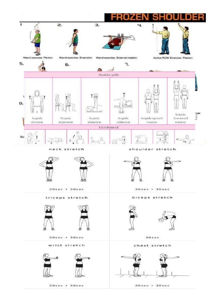 Frozen Shoulder Exercise | PDF