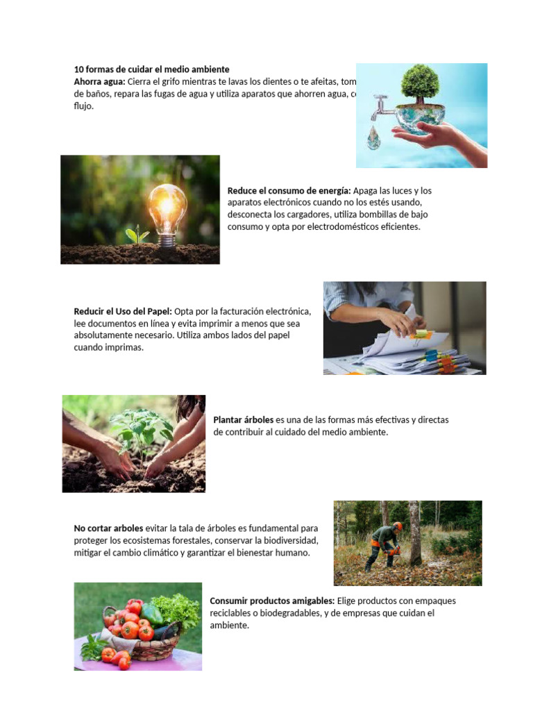 10 Formas de Cuidar el Medio Ambiente | PDF