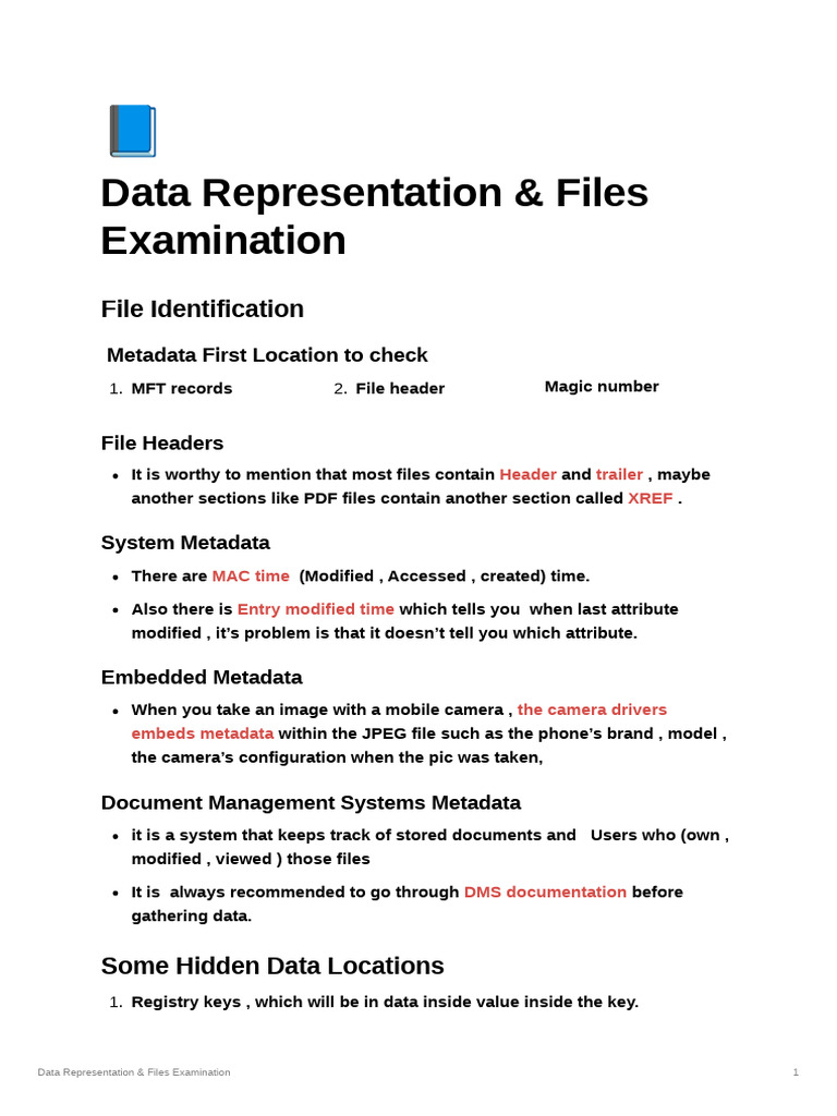 Data Representation & Files Examinations | PDF