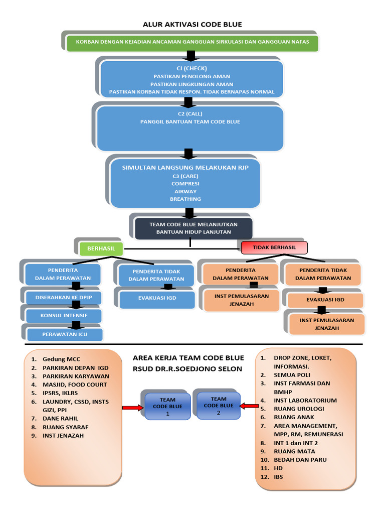 ALUR AKTIVASI CODE BLUE | PDF