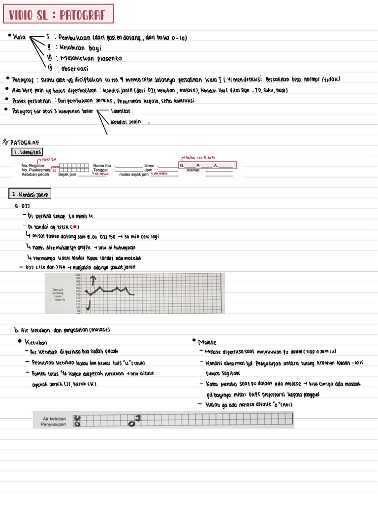 (CTT) SL - Patograf | PDF
