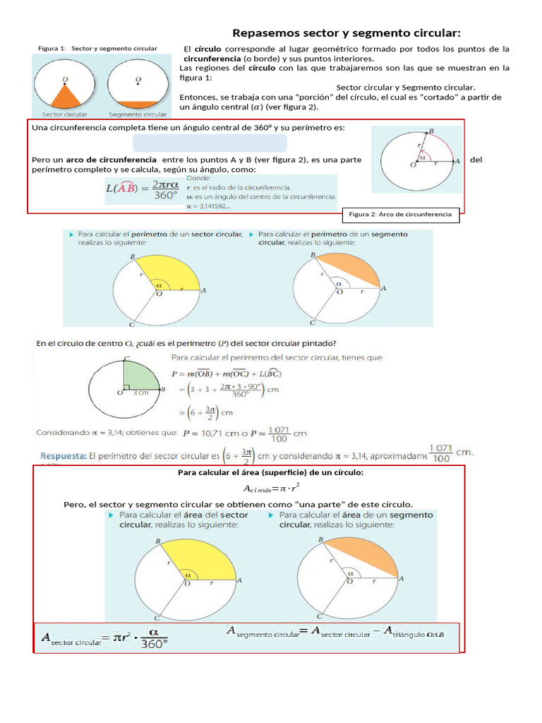 Sector y Segmento Circular | PDF