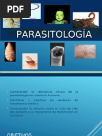 Ciclos de vida de parásitos monoxenos y heteroxenos | PDF | Parasitismo ...