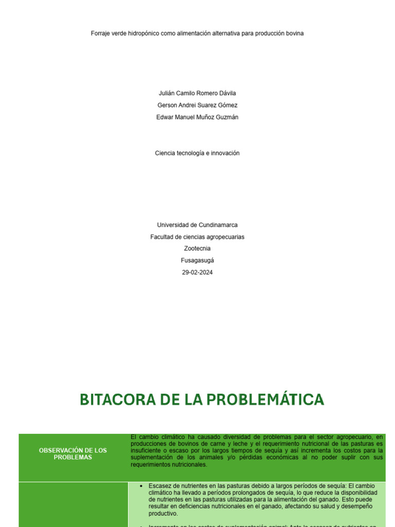 Bitacora Problematica | PDF