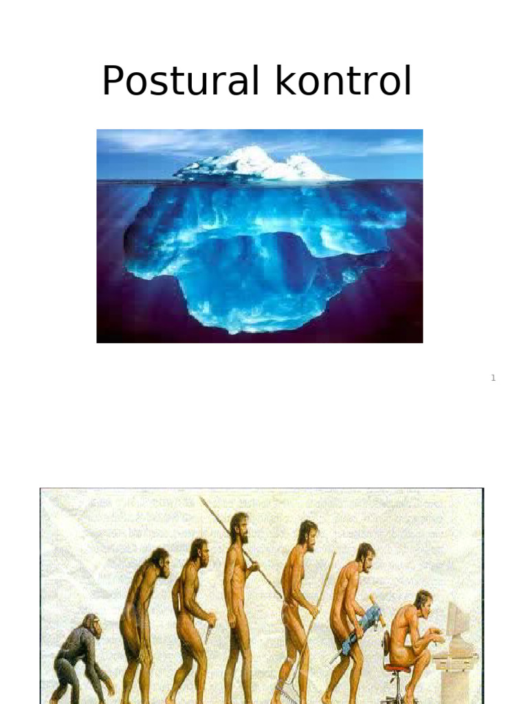 Postural Kontrol | PDF