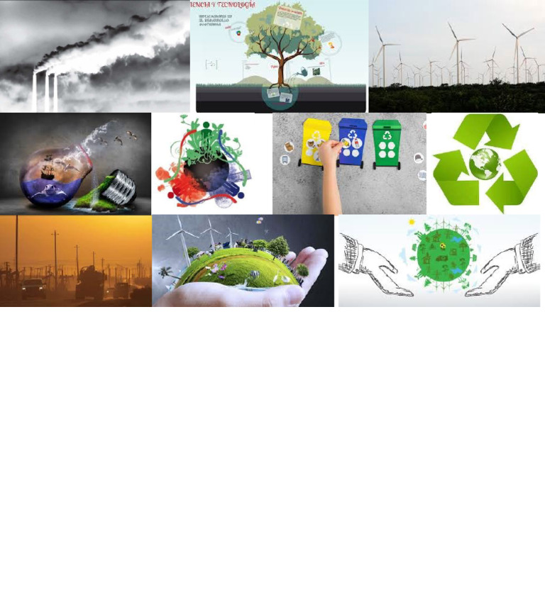 Collage Ecologia | PDF