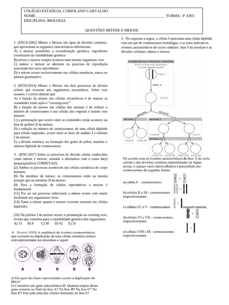 Questões Mitose e Meiose | PDF